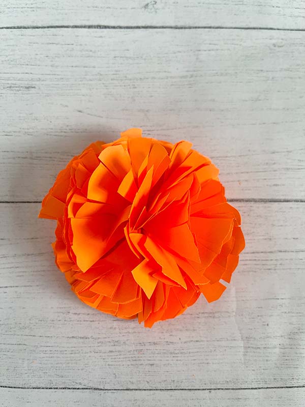 Marigold Paper Flowers | Colorize Your Life| ASTROBRIGHTS
